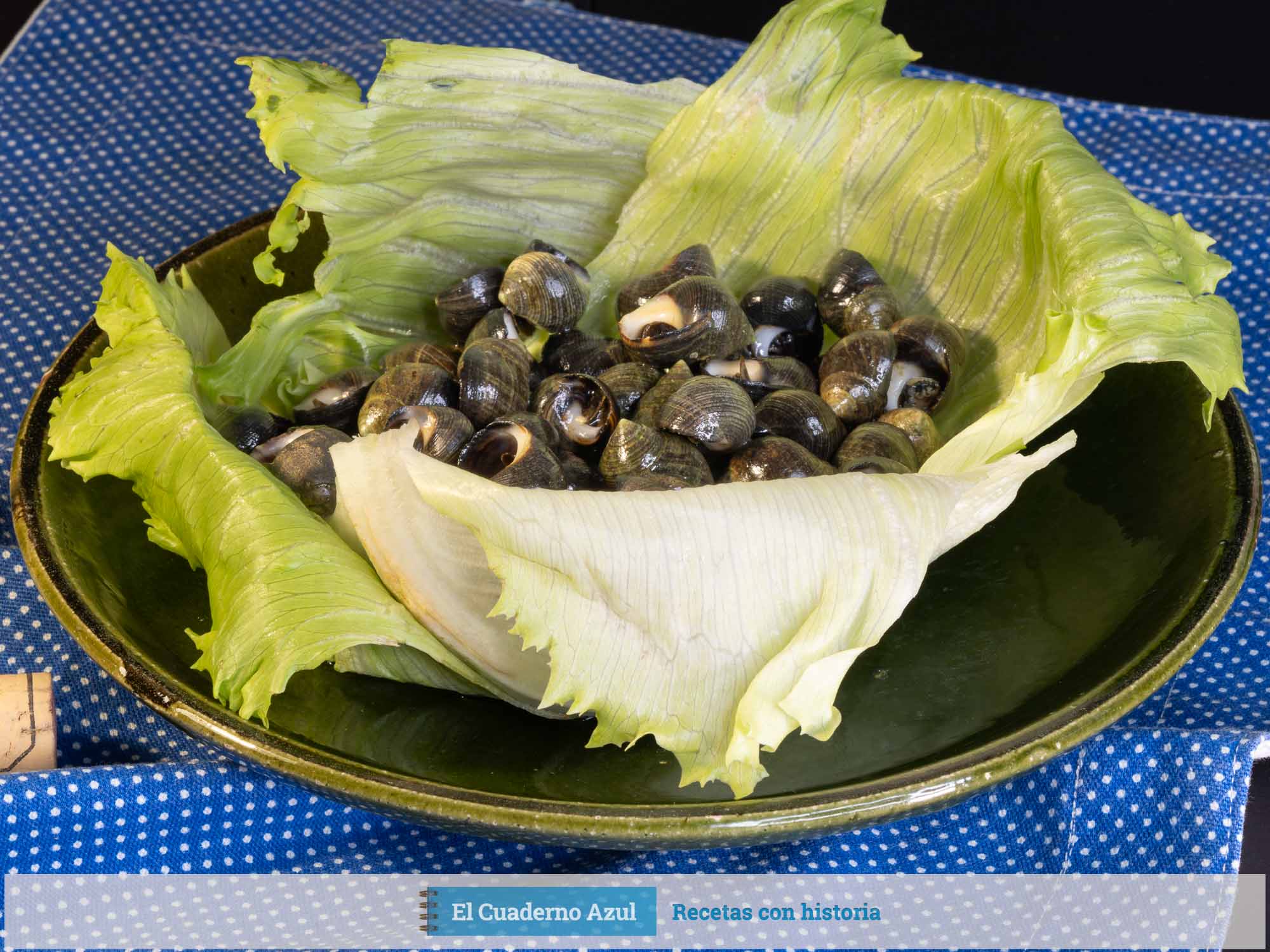 Bígaros Cocidos: Delicioso Aperitivo de Mar | El Cuaderno Azul